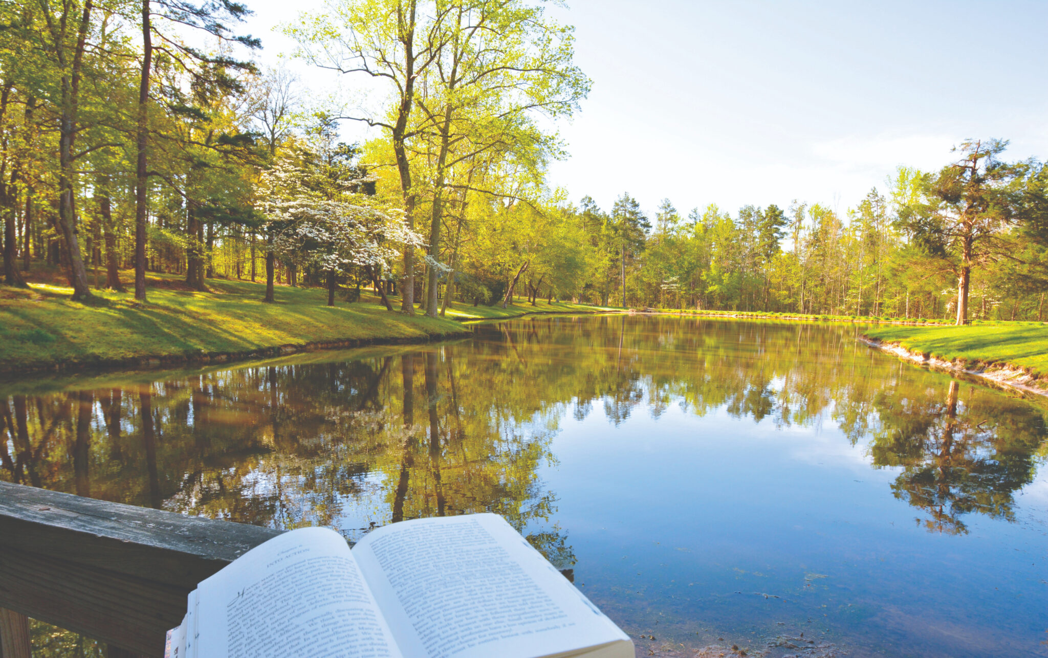 Navigating New Year’s Eve in Recovery: Embracing a Fresh Start ...